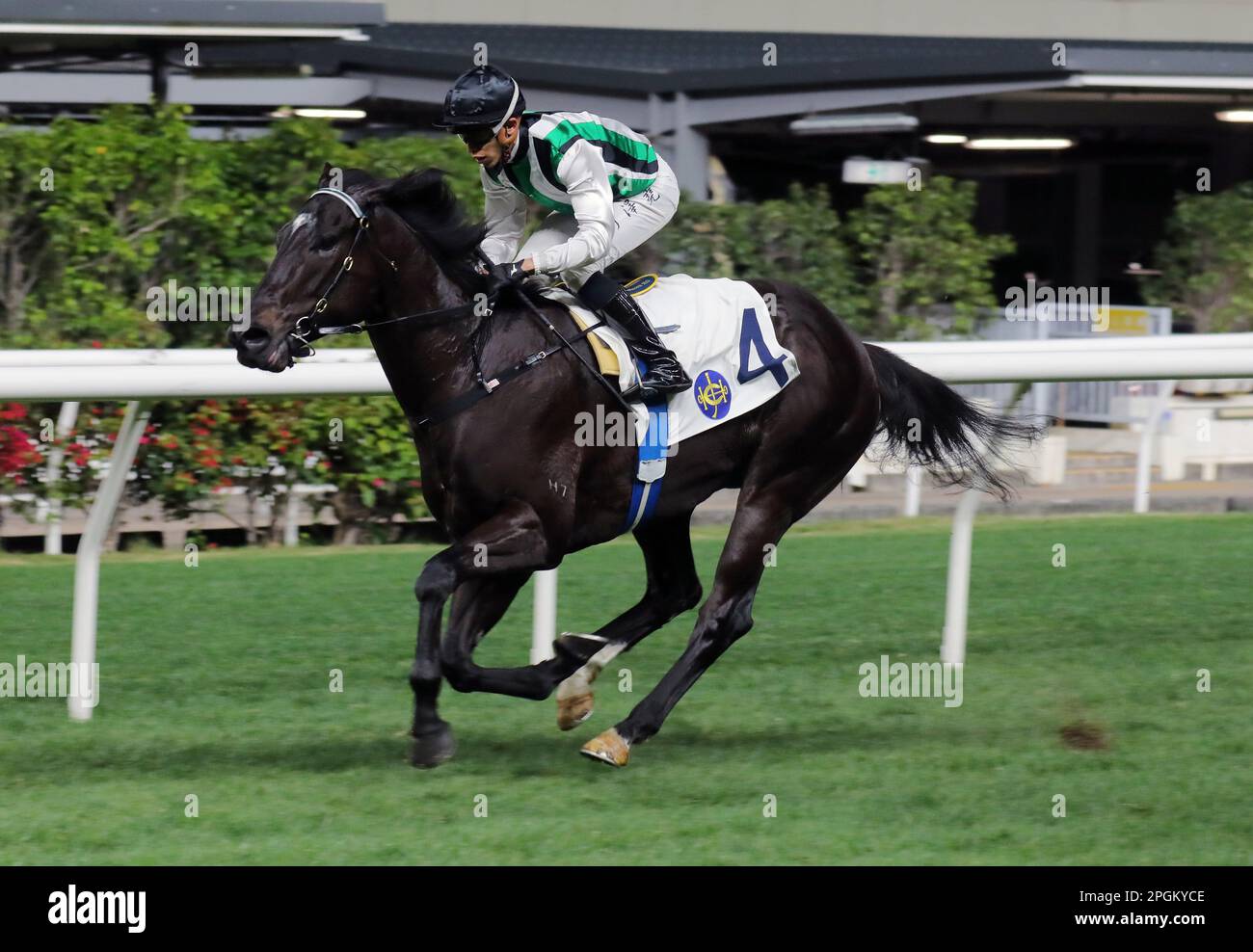 Allgreektome hi-res stock photography and images - Alamy