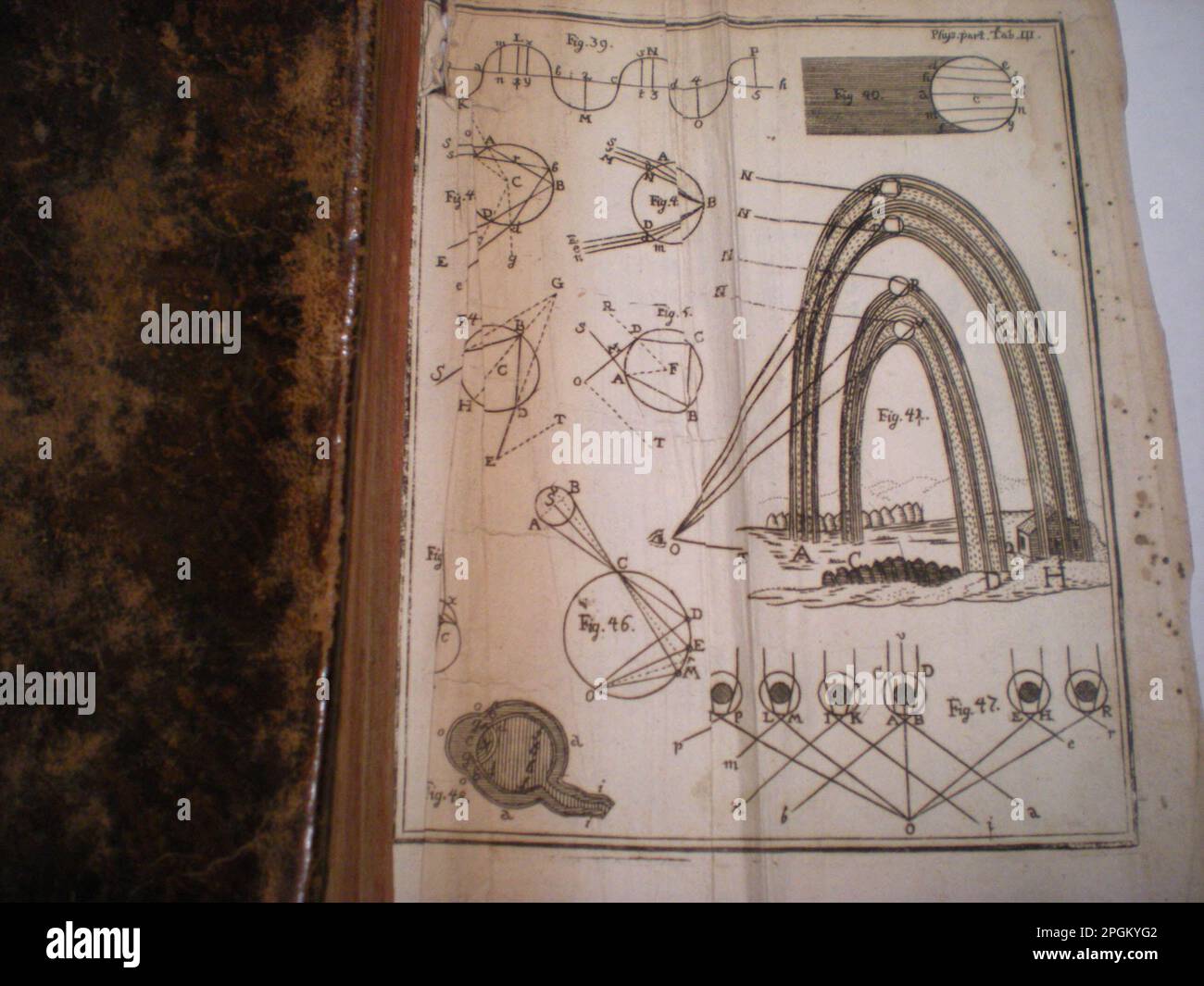 Plate III of Physica Particularis by Horvath Stock Photo - Alamy