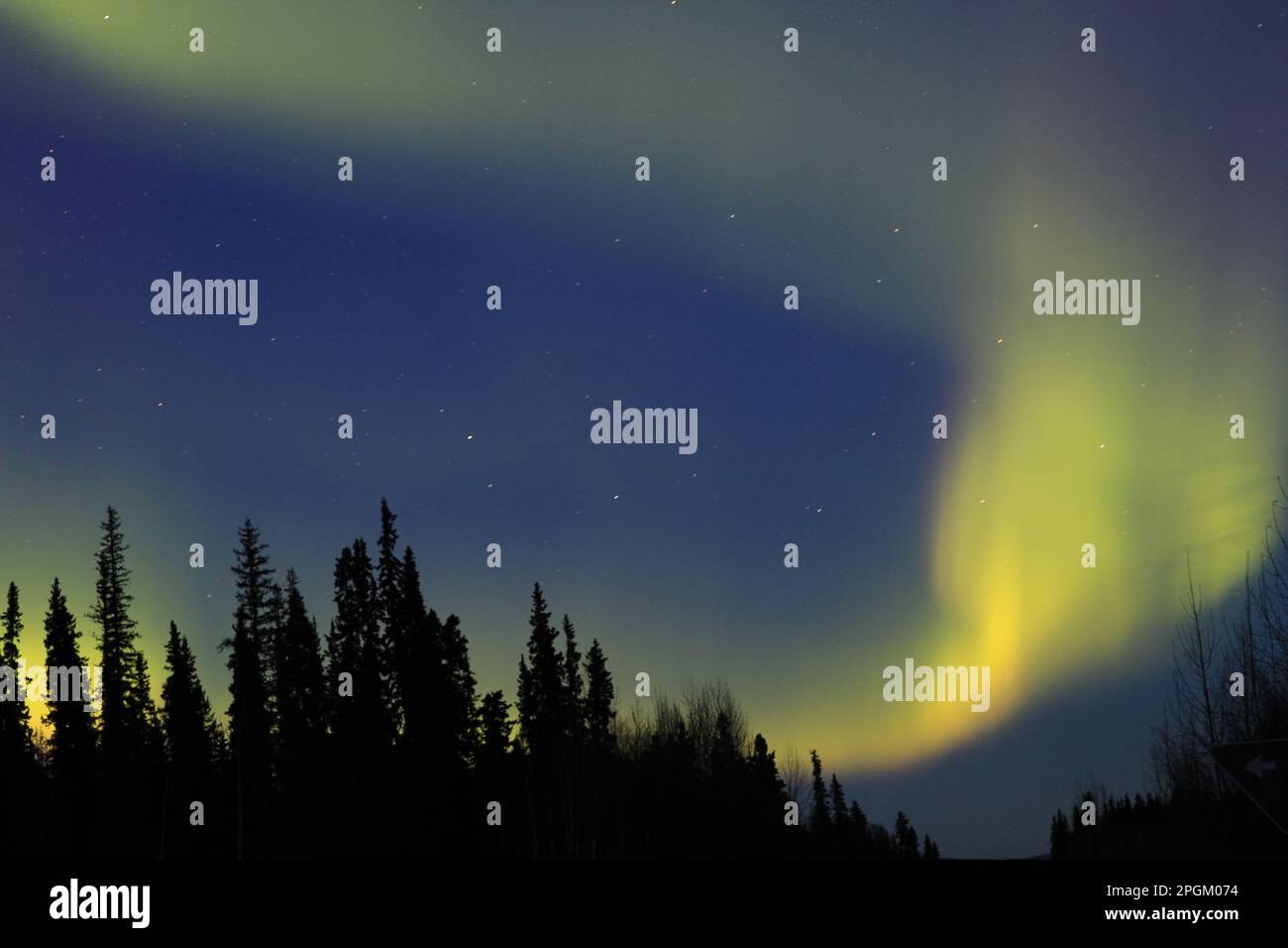 A stunning view of the Aurora Borealis from a secluded dark forest with ...