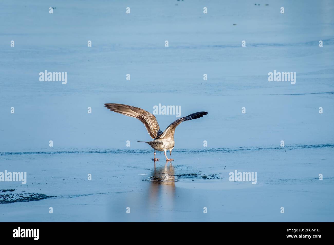 Reflection and weather hi-res stock photography and images - Alamy