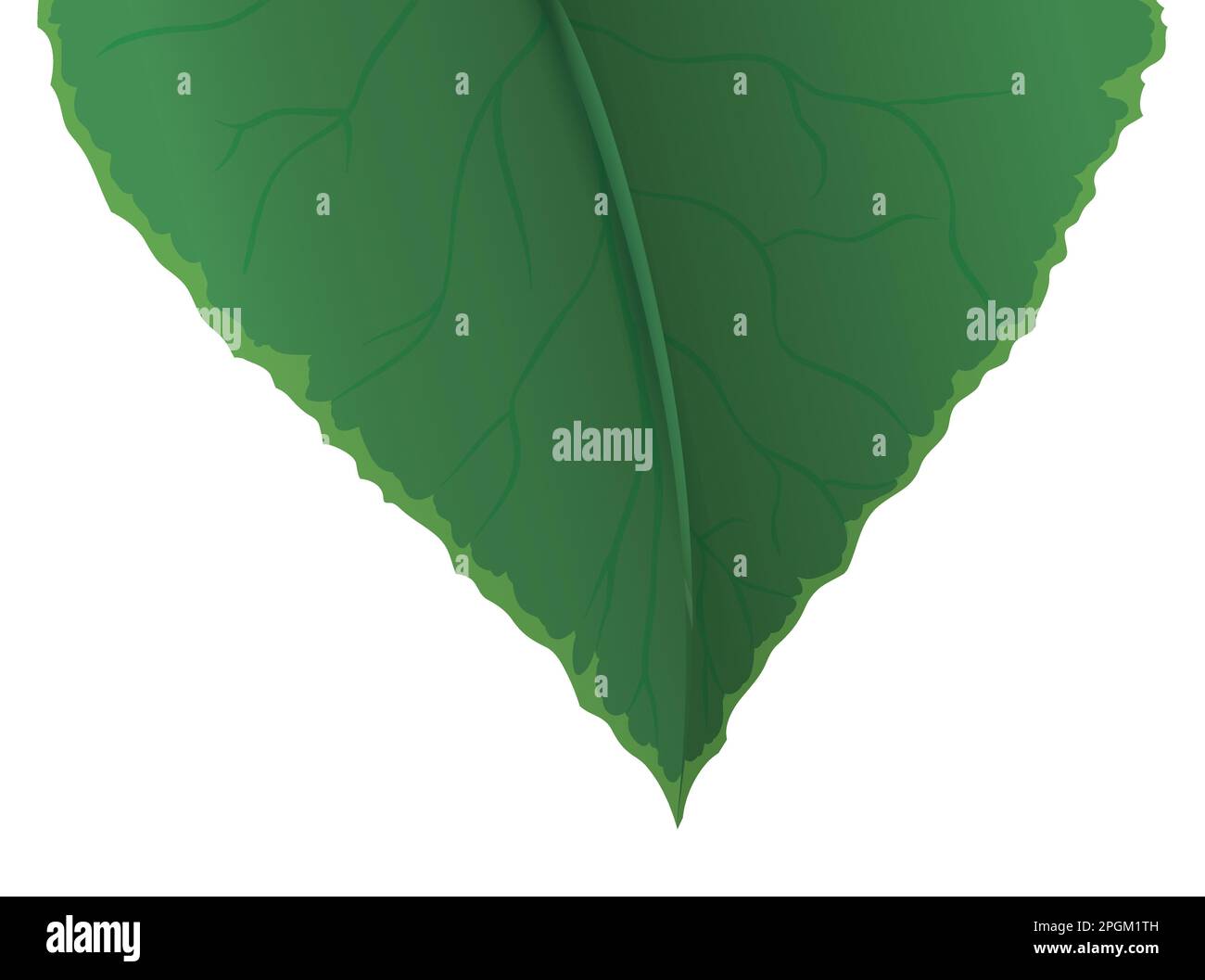 Close up forest details Stock Vector Images - Alamy