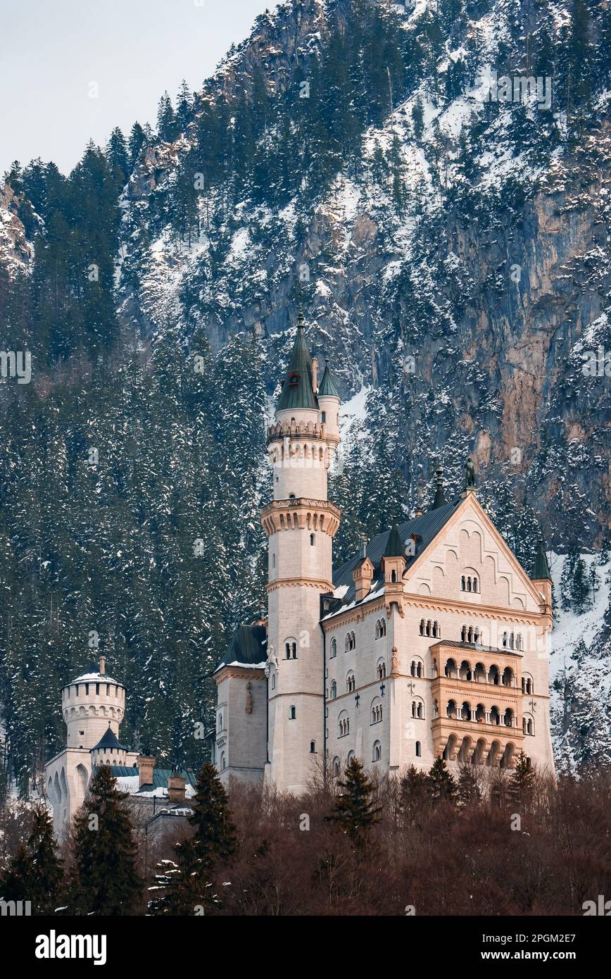 Beautiful view of the Neuschwanstein Castle or Schloss Neuschwanstein ...