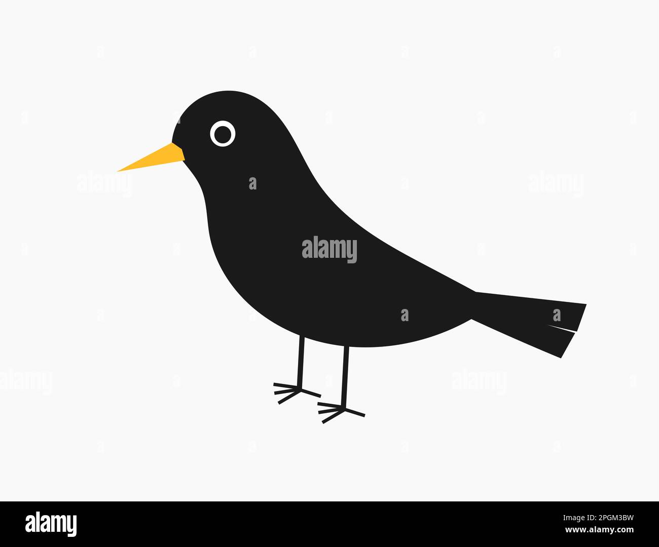 Common blackbird bird isolated over white background. Vector ...