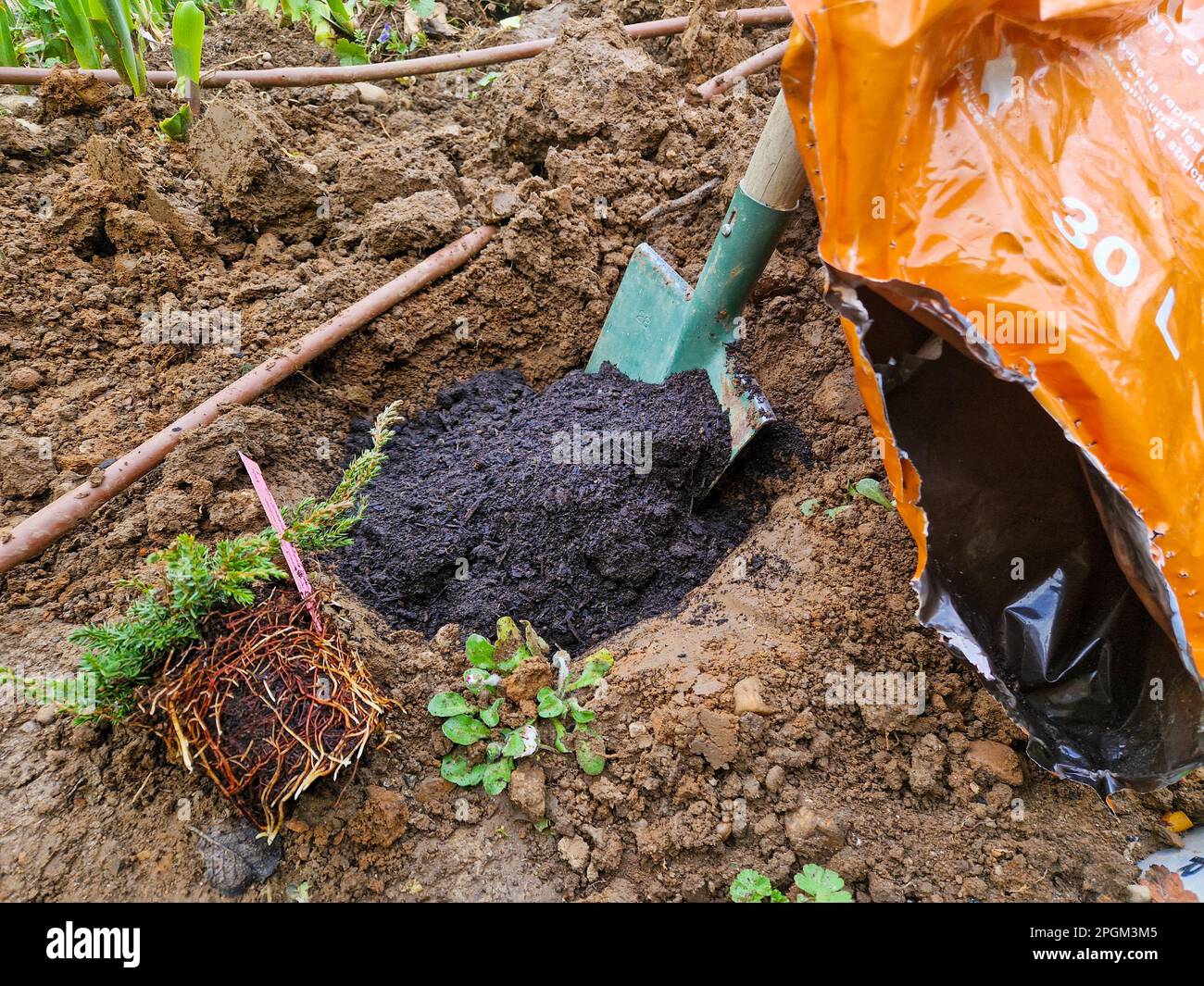 Early spring garden works, Bron, France Stock Photo - Alamy