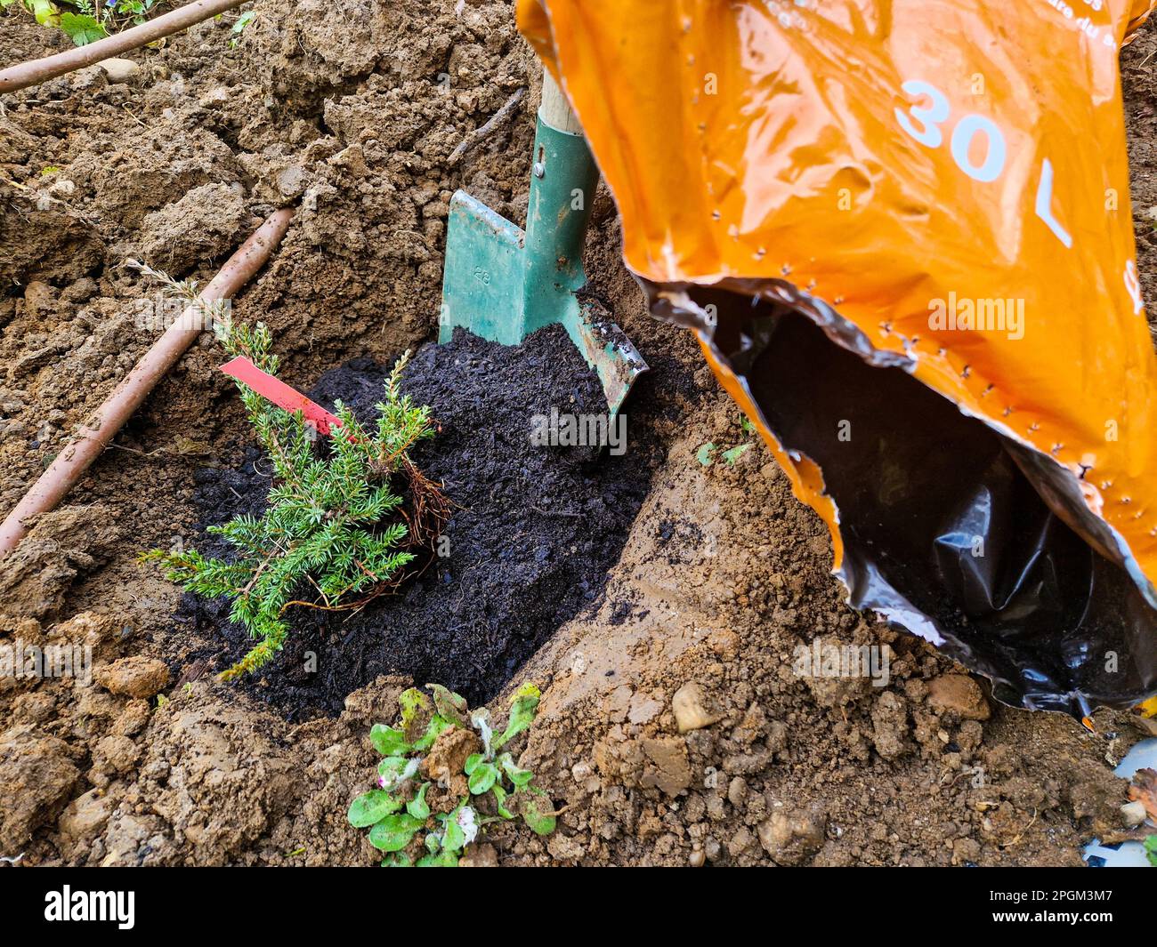 Early spring garden works, Bron, France Stock Photo - Alamy