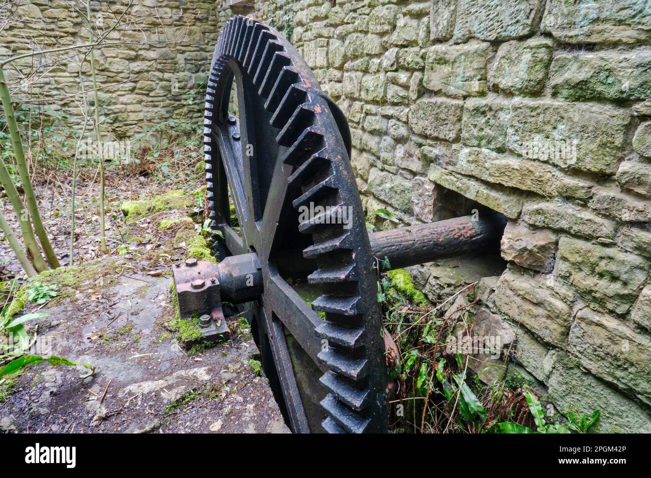 An old cast iron water mill gear cog, in the ruined mill at Jesmond ...