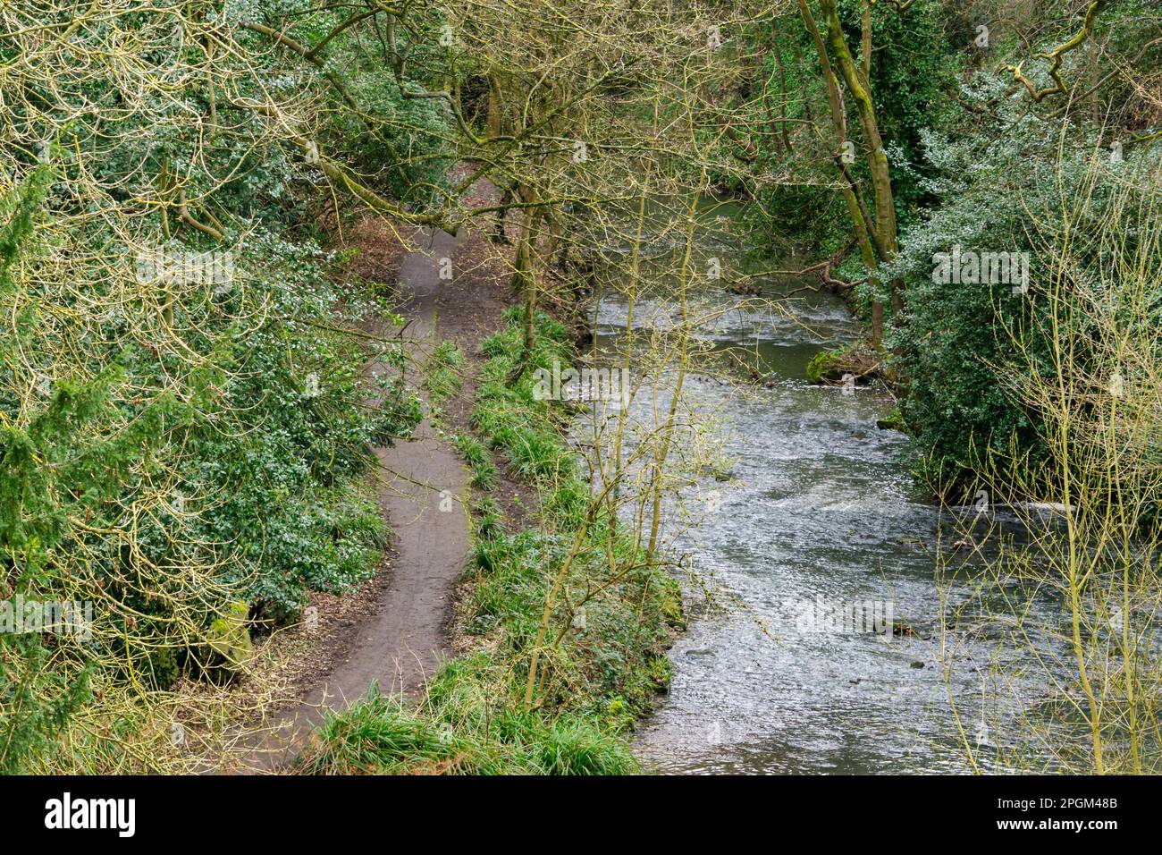 The Ouseburn river flows through Jesmond Dene, in the city of Newcastle ...