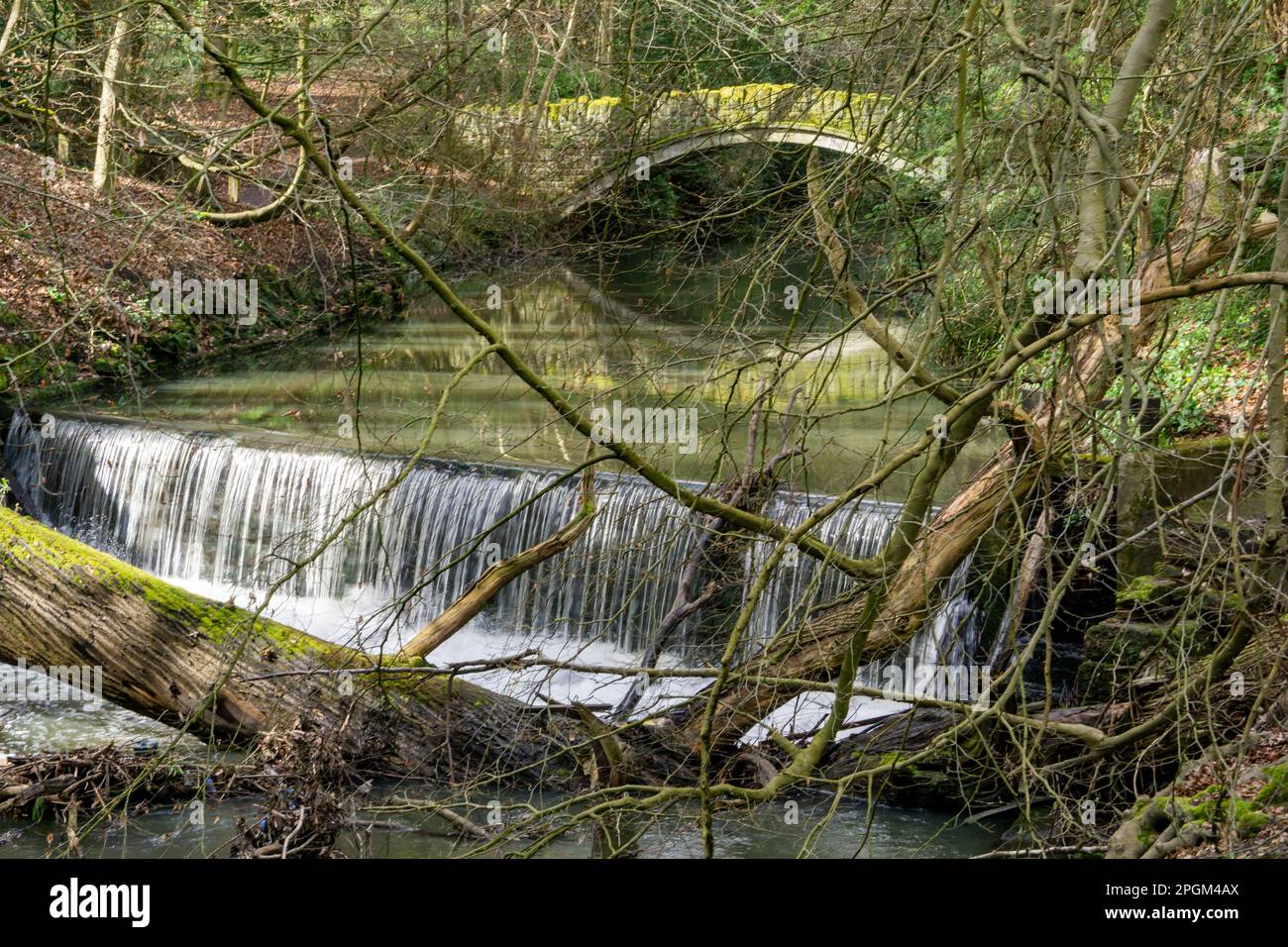A bridge, small waterfall and fallen tree on the Ouseburn river in ...