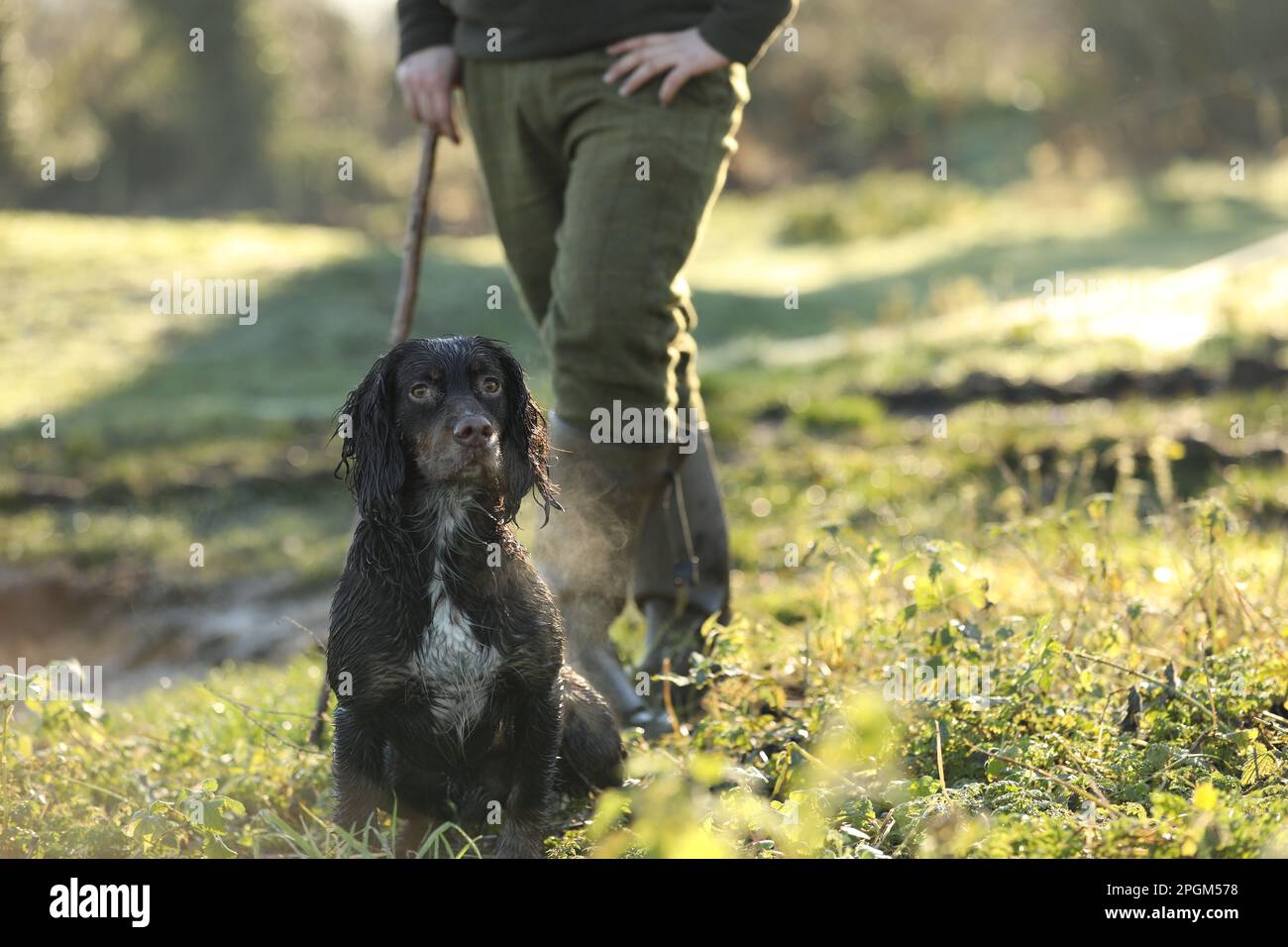 A dog and its owner beating on a shoot Stock Photo - Alamy