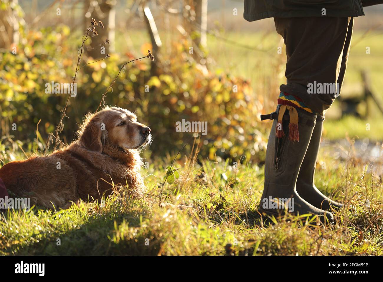 A dog and its owner beating on a shoot Stock Photo - Alamy