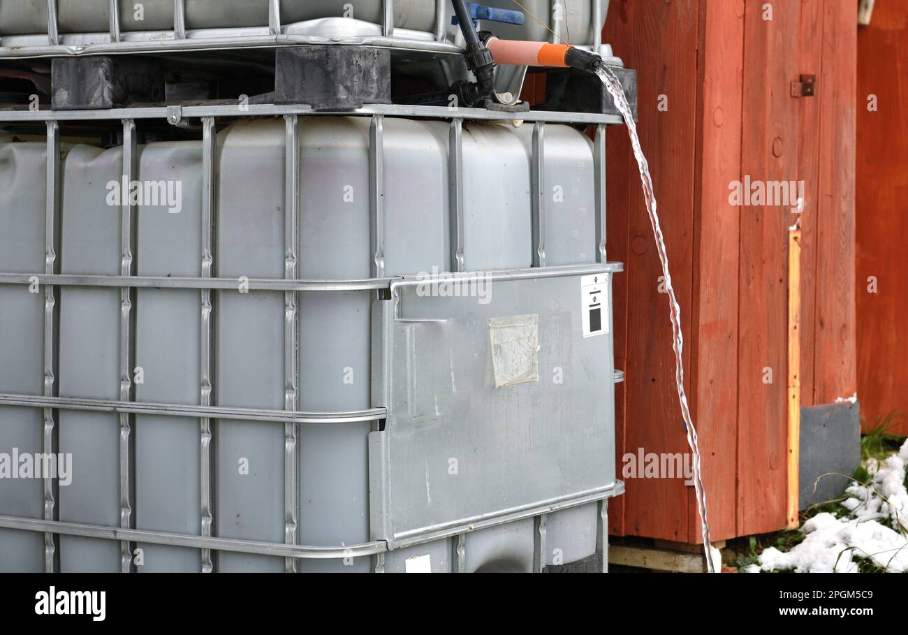 Collecting rainwater in the garden in the village into a large plastic ...
