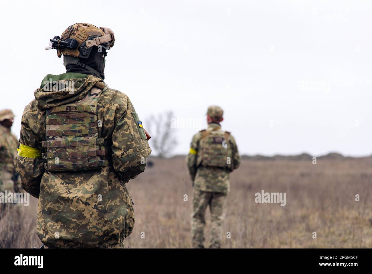 Rear view of two armed Ukrainian soldiers walking in steppe in uniform ...