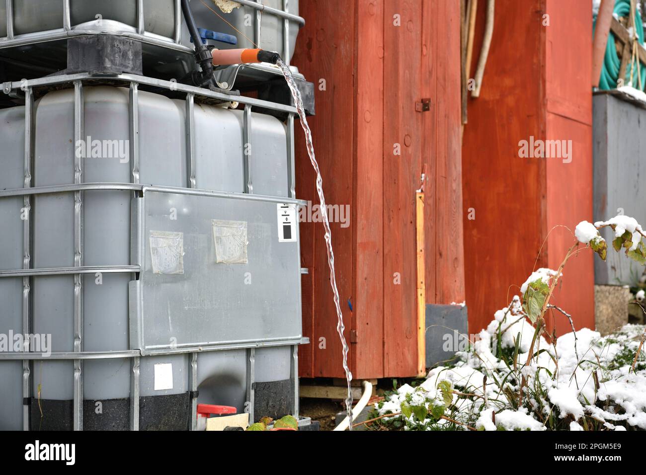 Collecting rainwater in the garden in the village into a large plastic ...