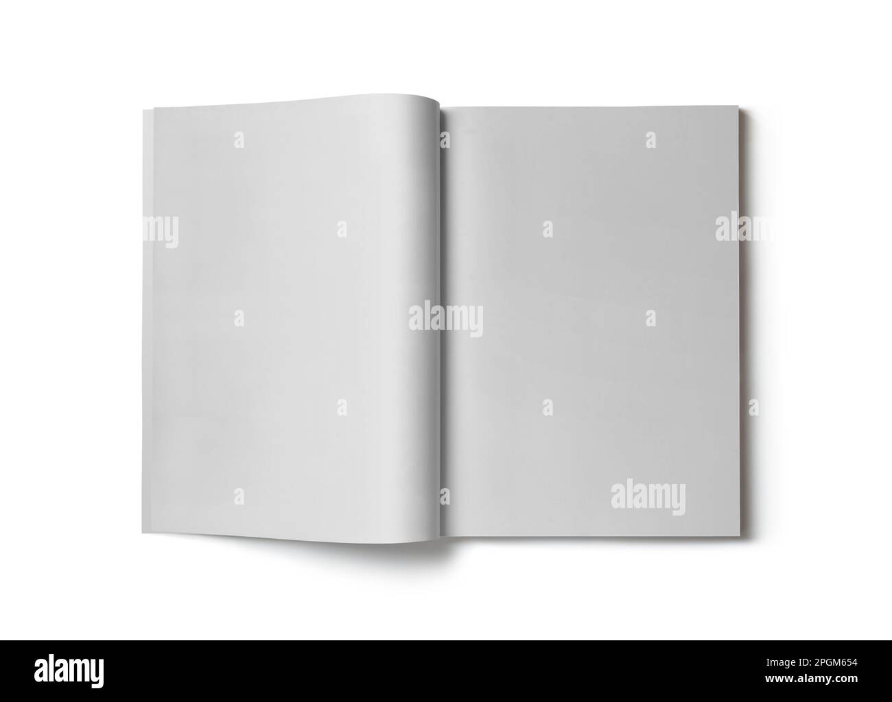 Spine details Cut Out Stock Images & Pictures - Alamy