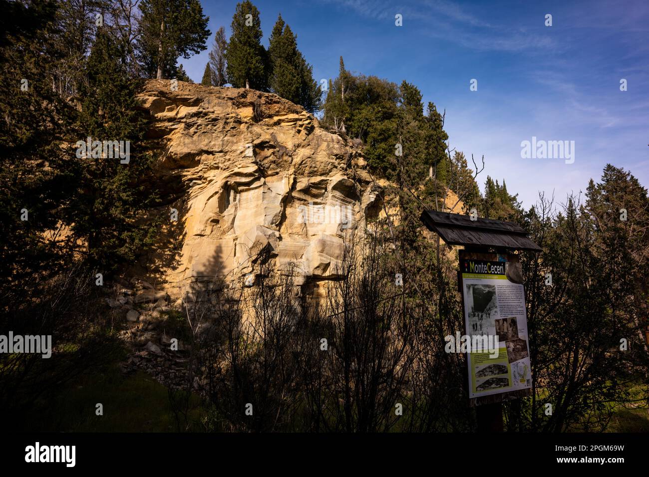 Monte Ceceri, near Fiesole, where so the myth goes, Leonardo da Vinci ...
