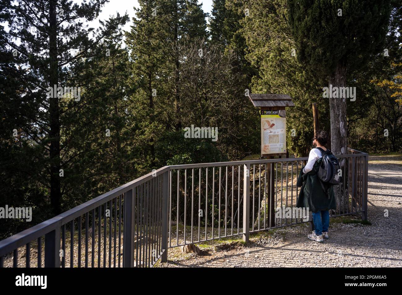 Monte Ceceri, near Fiesole, where so the myth goes, Leonardo da Vinci ...