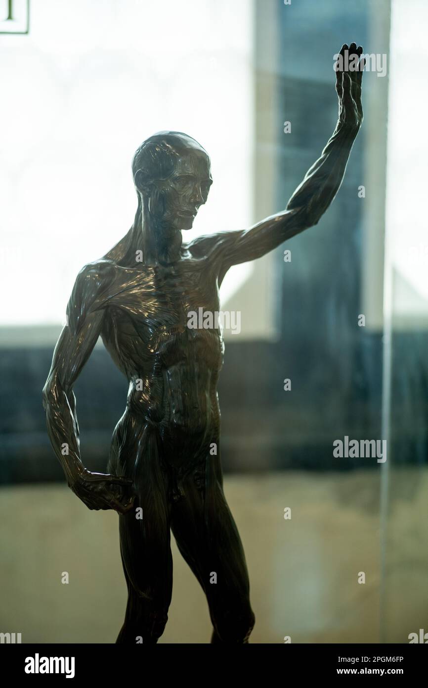Bronze statuettes on display in The Bargallo museum in Florence Stock ...