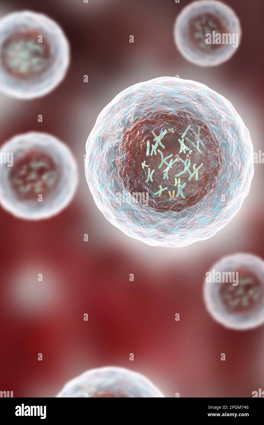 Human karyotype hi-res stock photography and images - Alamy