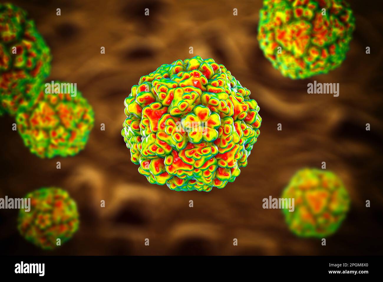 Enterovirus a71 hi-res stock photography and images - Alamy
