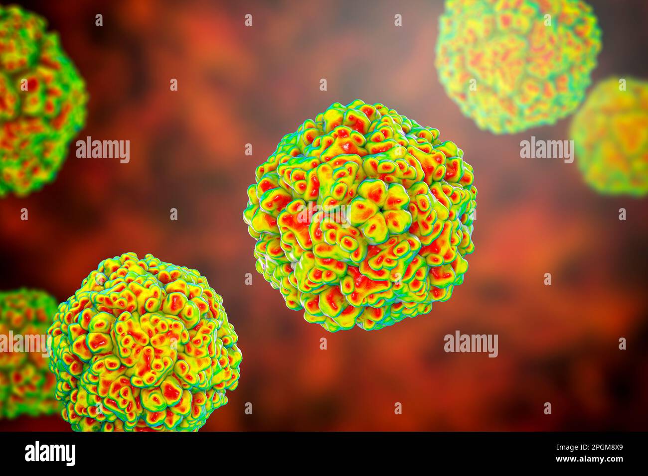 Enterovirus a71 hi-res stock photography and images - Alamy