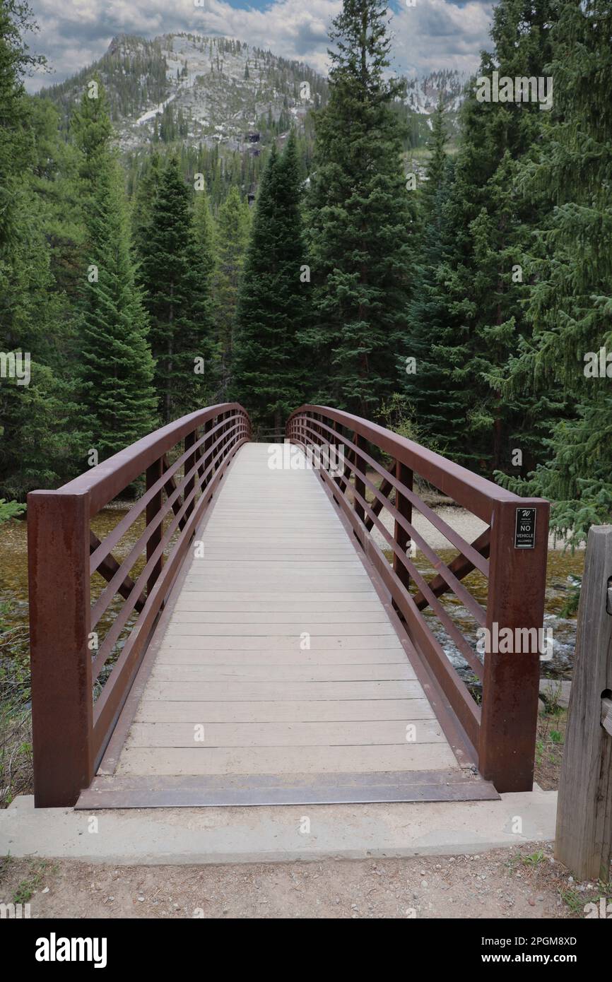 A pedestrain bridge spanning the Roaring Fork River leading to a forest ...