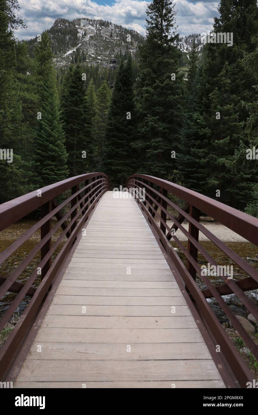 A pedestrain bridge spanning the Roaring Fork River leading to a forest ...