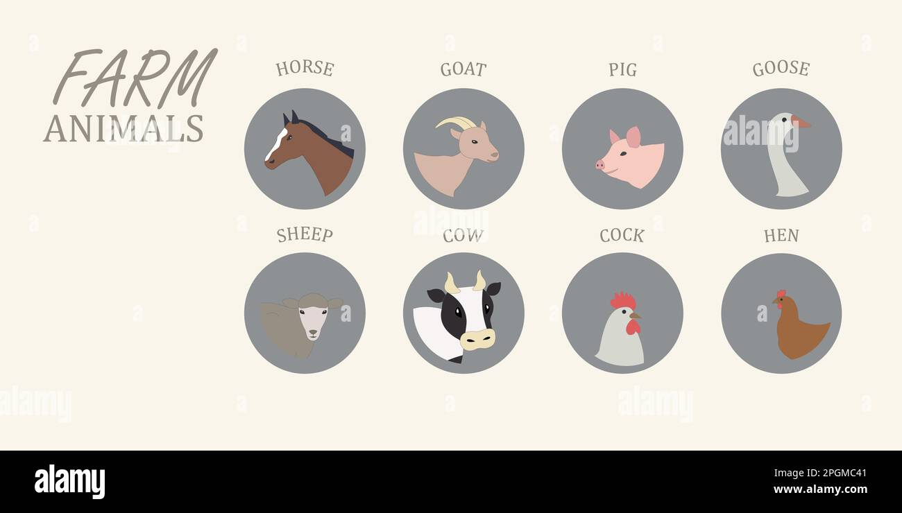 Heads of farm animals, cow, pig, horse, sheep. goat, chicken, goose ...