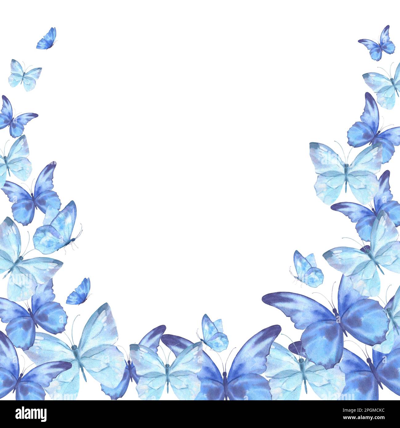 Blue Butterfly Frame
