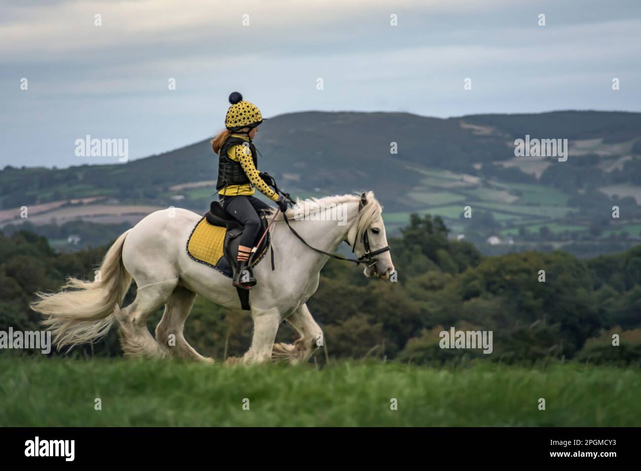 Irish landscape. Girl riding the horse. 41st Johnstown Coolgreany ...