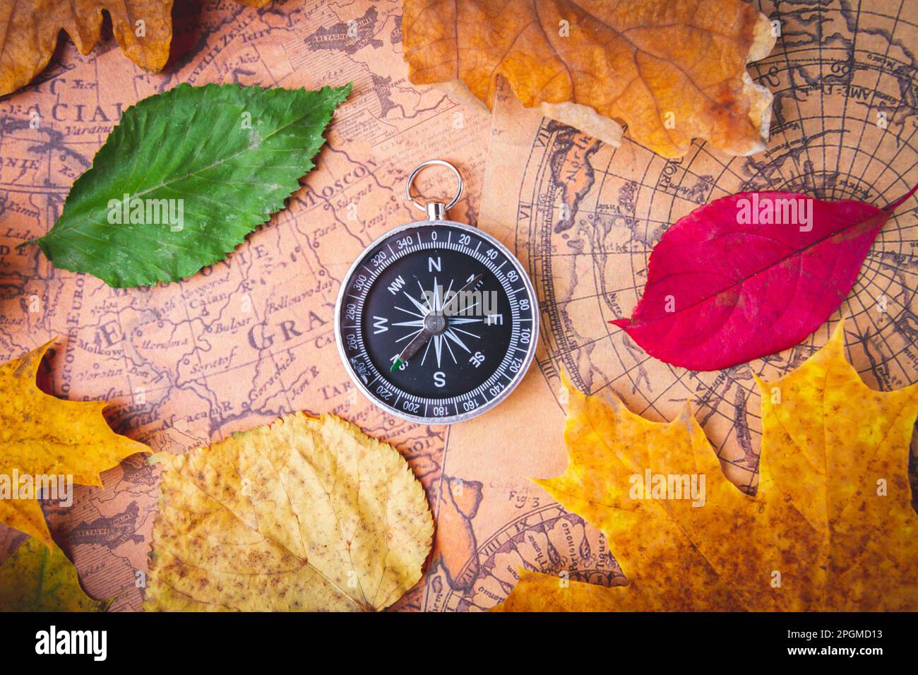 Traveler's compass on map in bright multi-colored autumn leaves ...