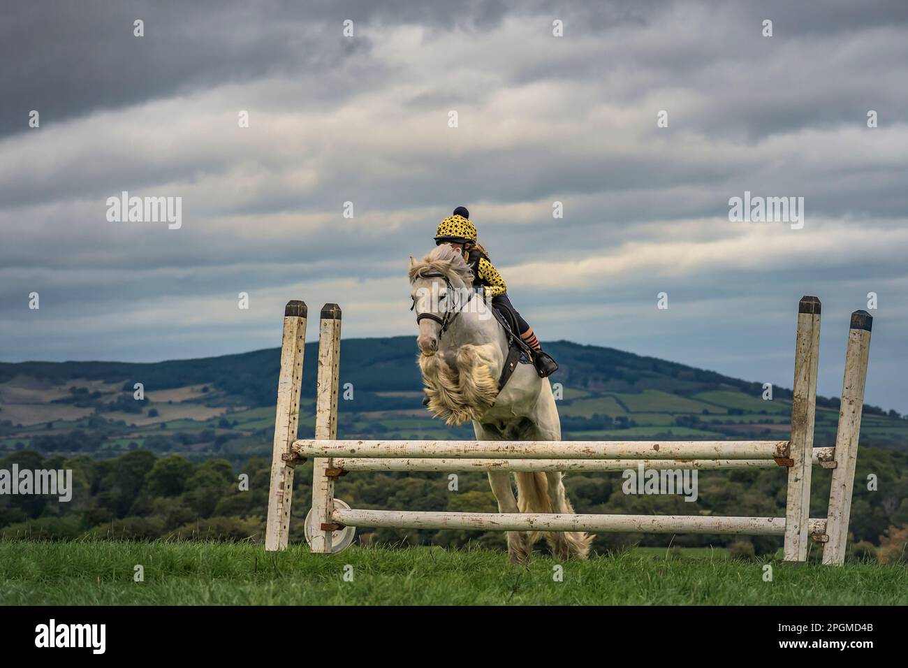 A girl rides her horse over one of the jump fences. 41st Johnstown ...