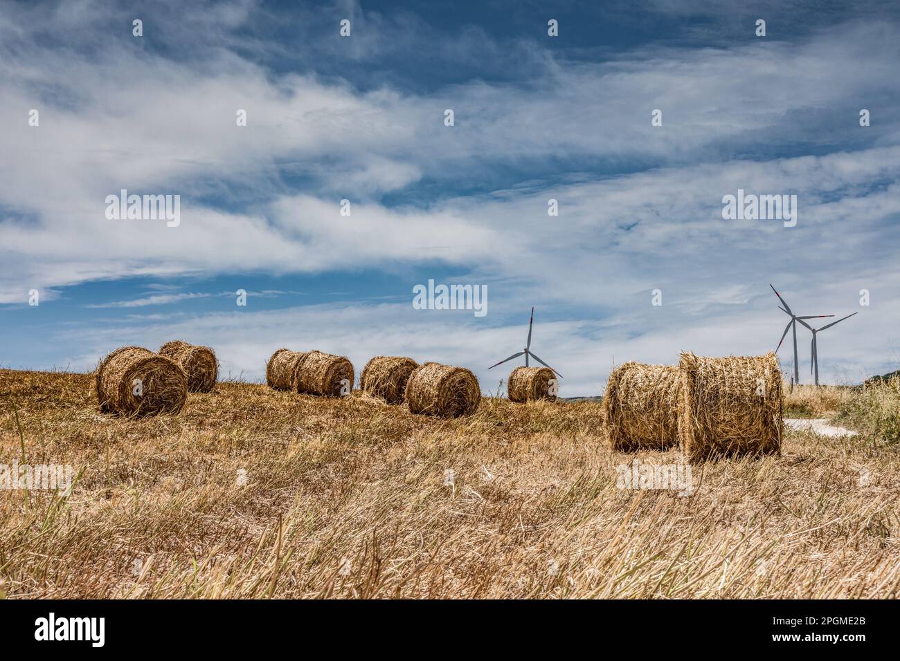 Wheat field on wind hi-res stock photography and images - Alamy