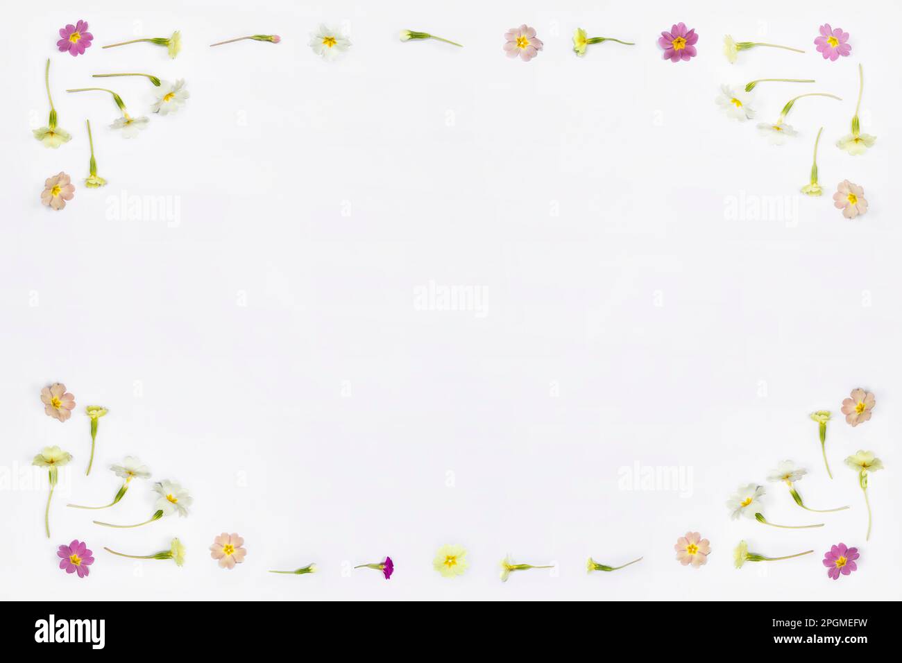 Natural spring wildflowers border frame with copy space, flat lay on ...