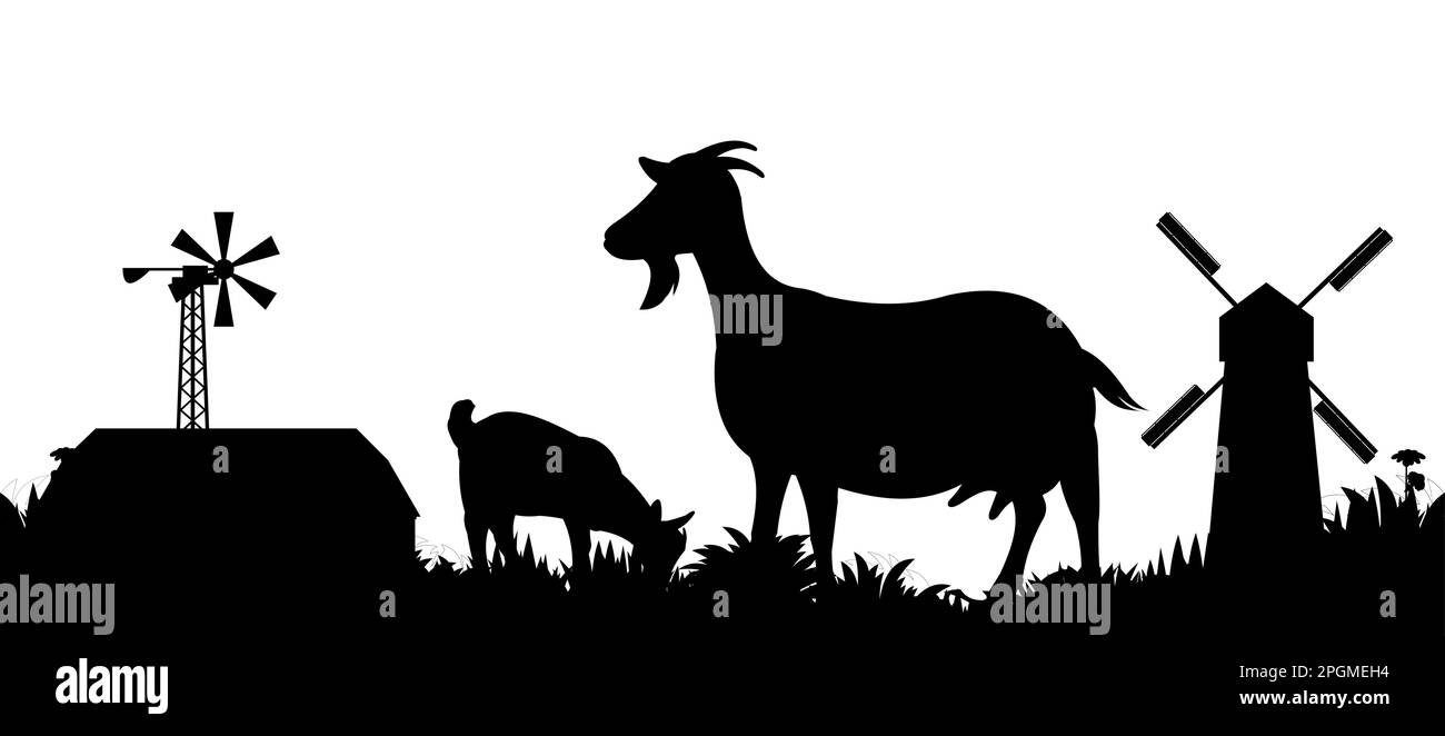 Goat with kid grazing on farmer pasture grass. Farm pets. Animals for ...