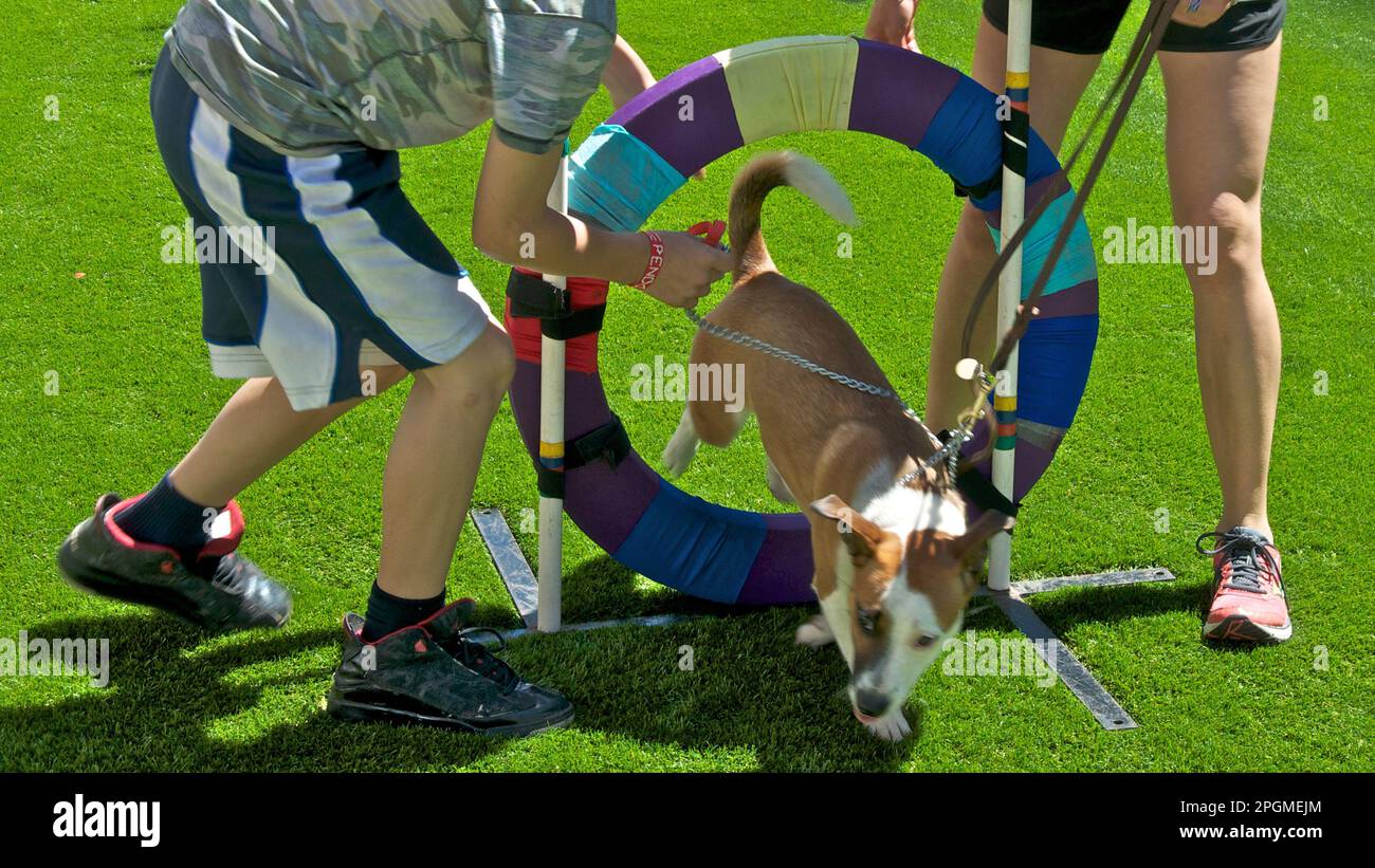 Professional training course hi-res stock photography and images - Alamy