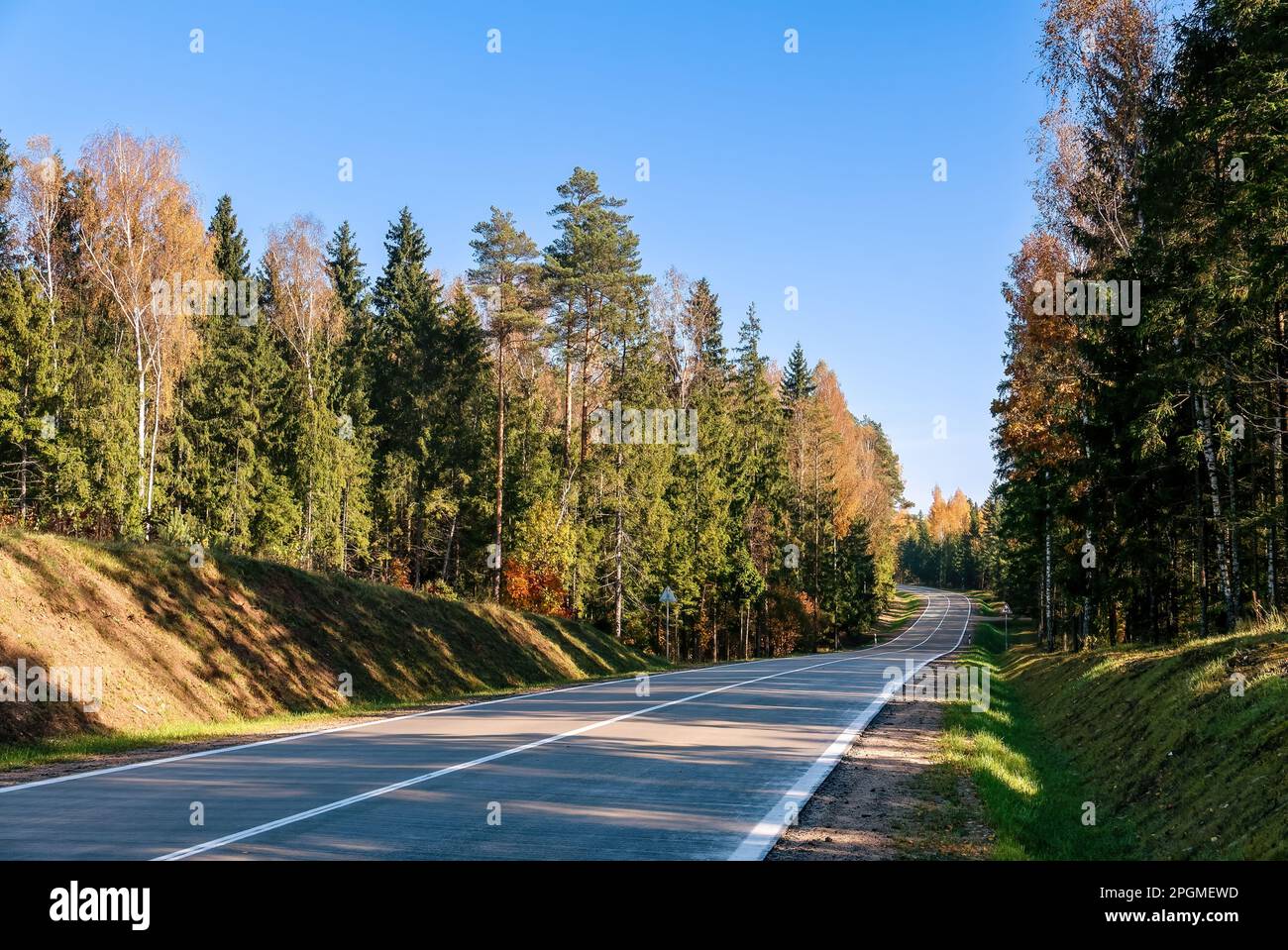 Autumn scene from the road in the woods. Trees, mixed forest, road bend Stock Photo - Alamy
