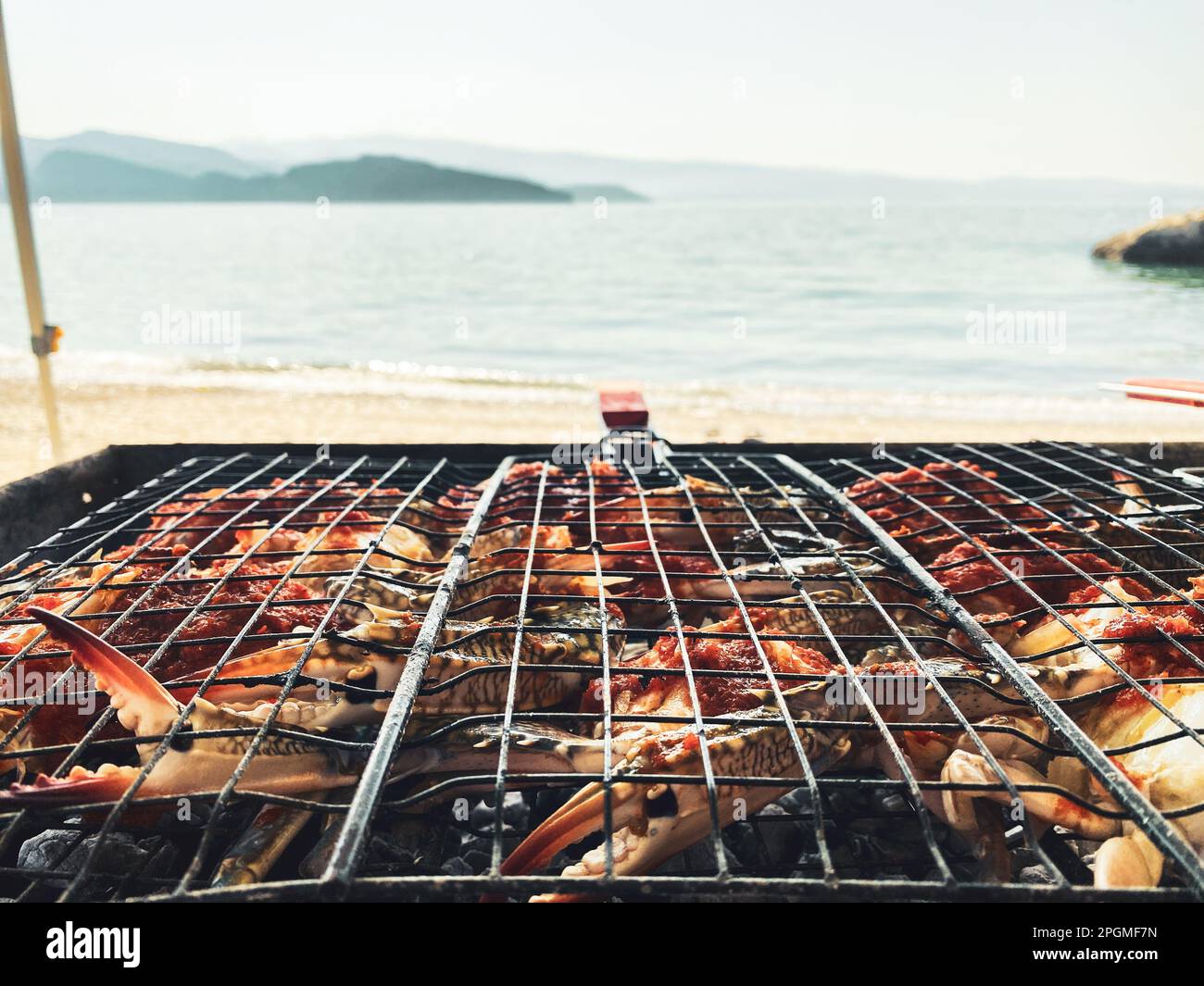 Side view fresh crabs cooked on bbq grill using coil with beach ...