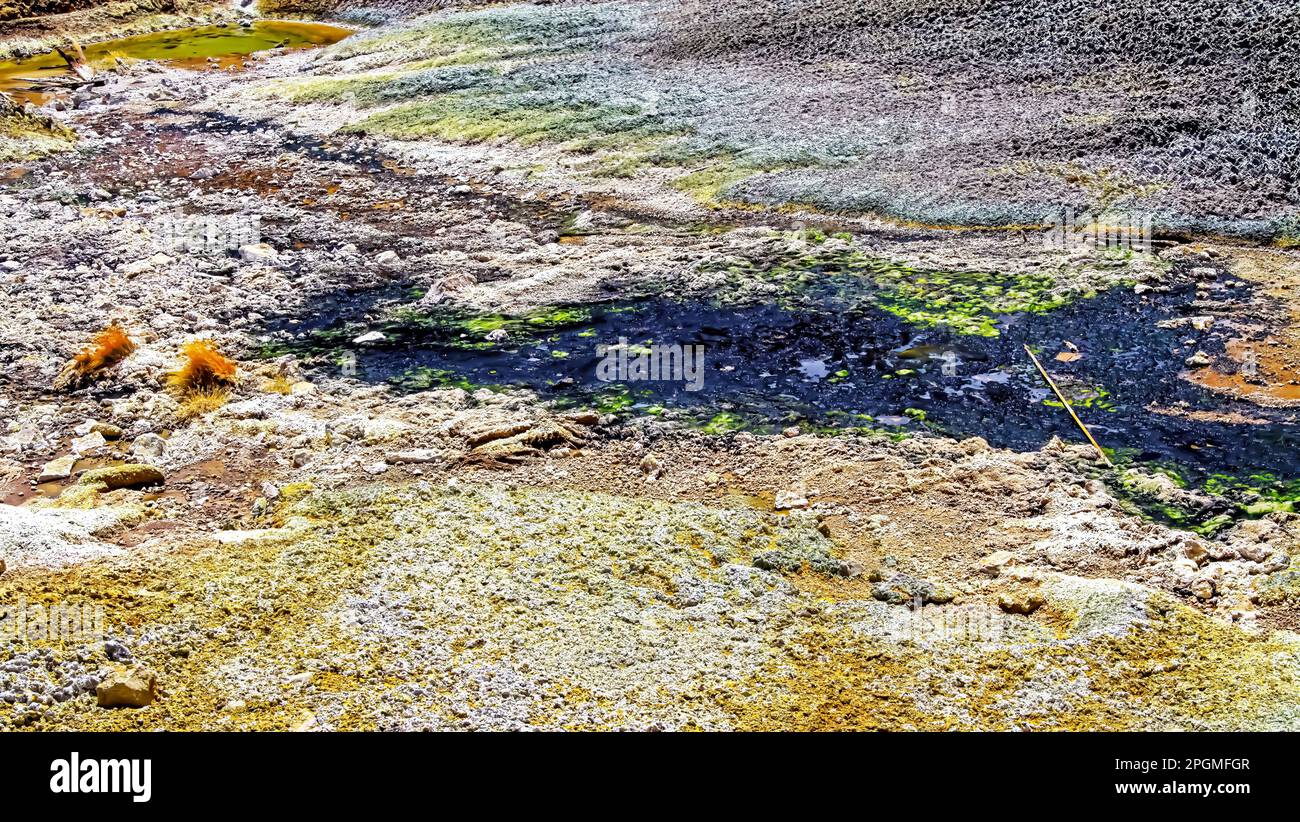 Closeup of dried out colorful surface of desert lake - Maricunga salt ...