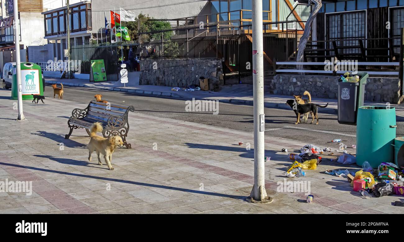Bahia Inglesa, Chile - December 26. 2011: Sleepy little chilean coastal ...