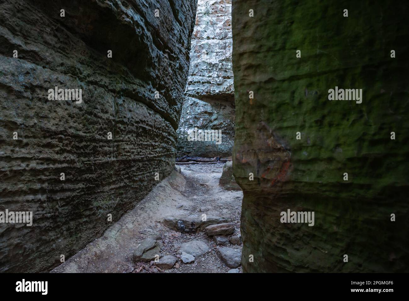 Nature trail through sandstone bluffs at Giant City State Park ...