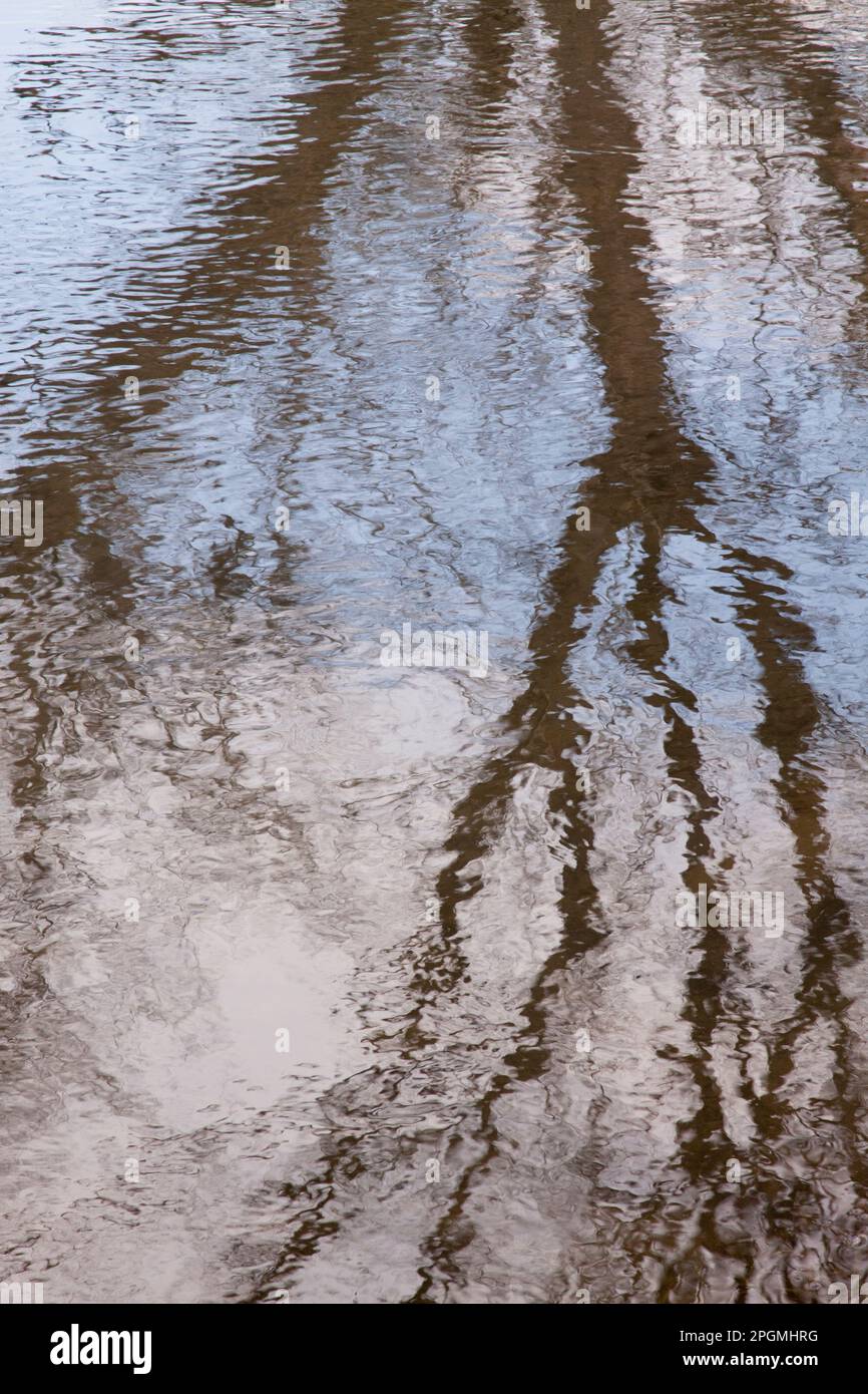 Abstract Reflection of Trees in Water Stock Photo - Alamy