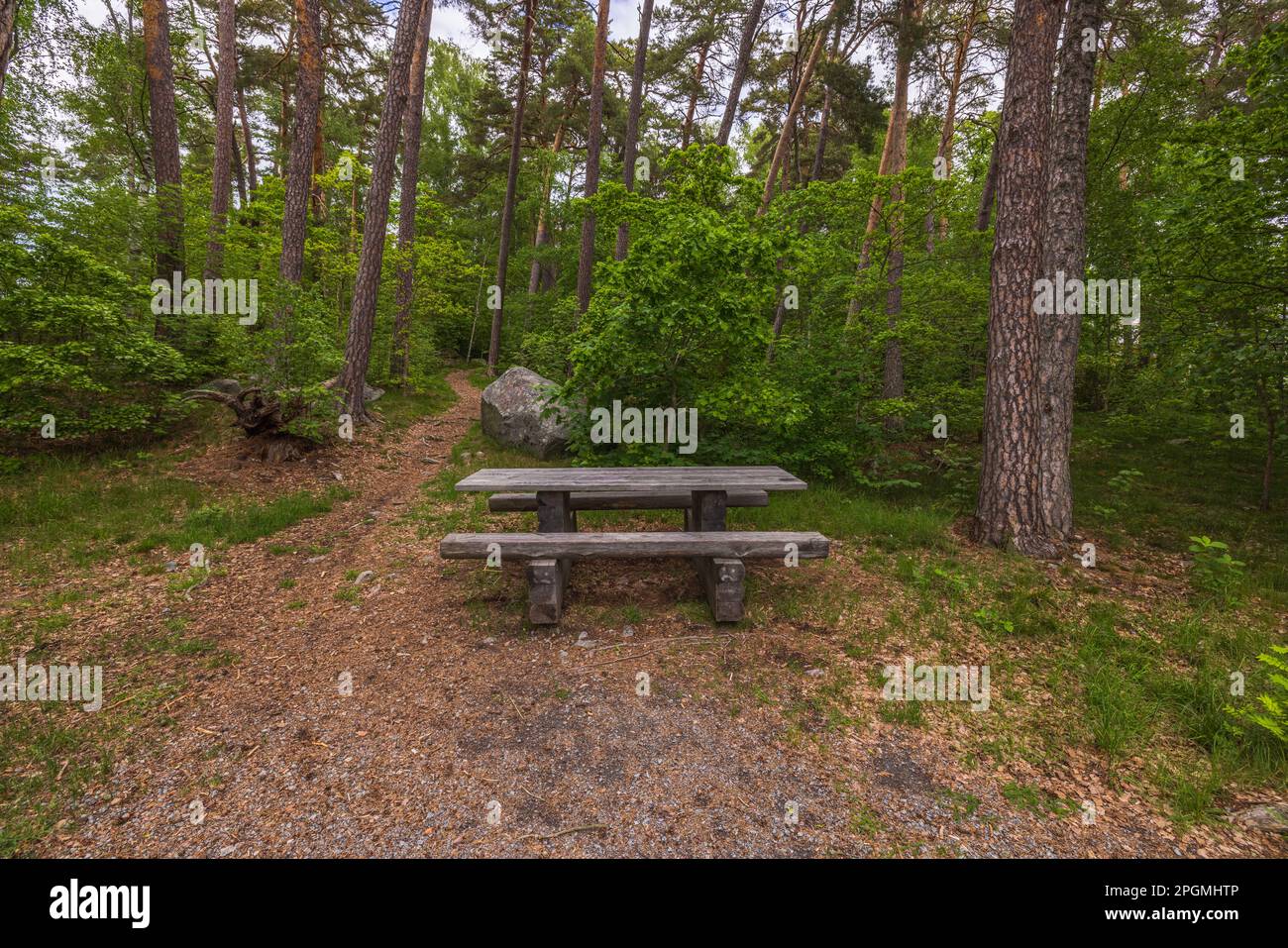 Beautiful view of table with bench on hiking trail in forest for rest ...