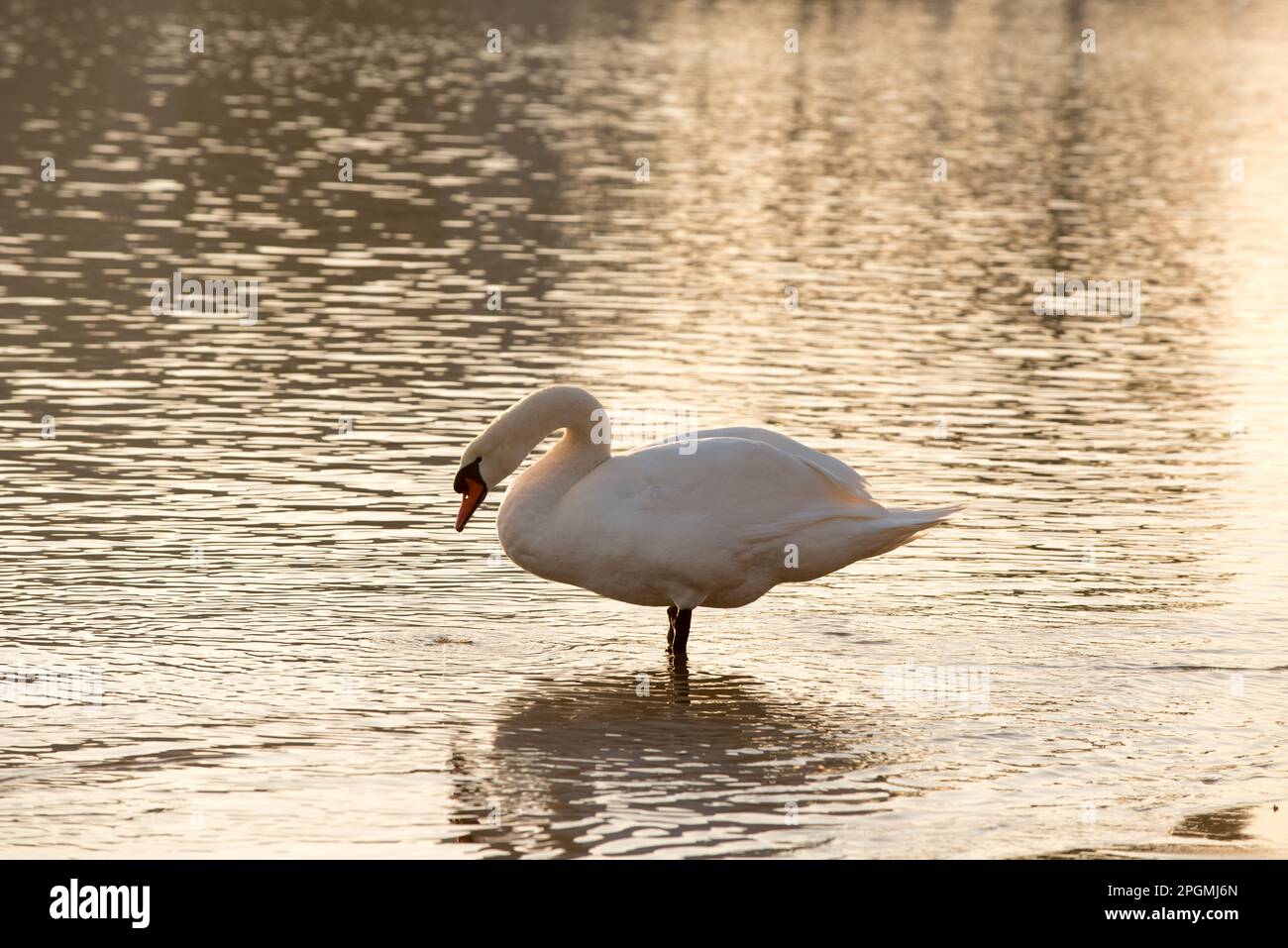 Acqua mare oceano hi-res stock photography and images - Alamy