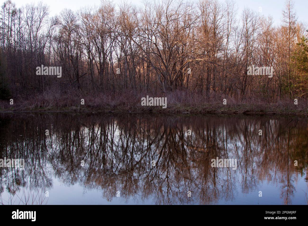 Abstract Reflection of Trees in Water Stock Photo - Alamy
