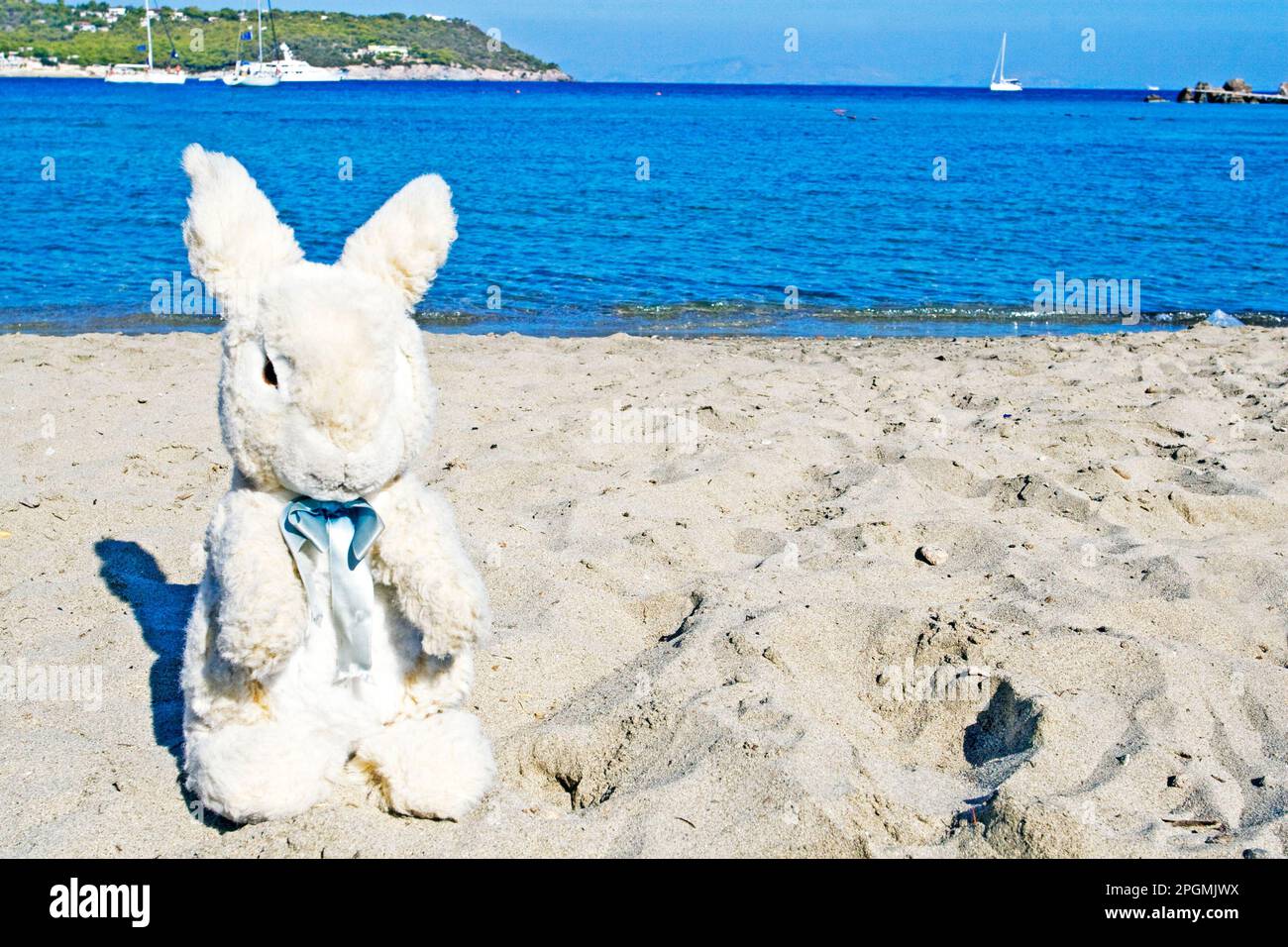 Easter Bunny on the Sea Stock Photo - Alamy