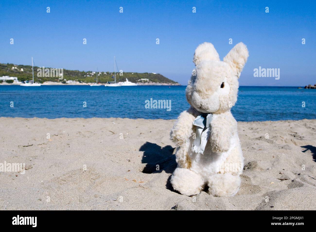 Easter Bunny on the Sea Stock Photo - Alamy