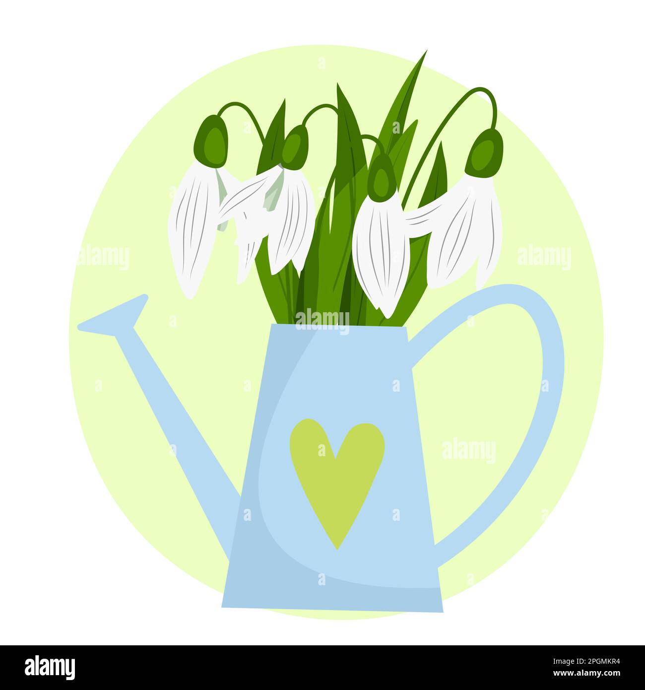 Snowdrop Day card, snowdrops in blue watering can. Vector illustration ...