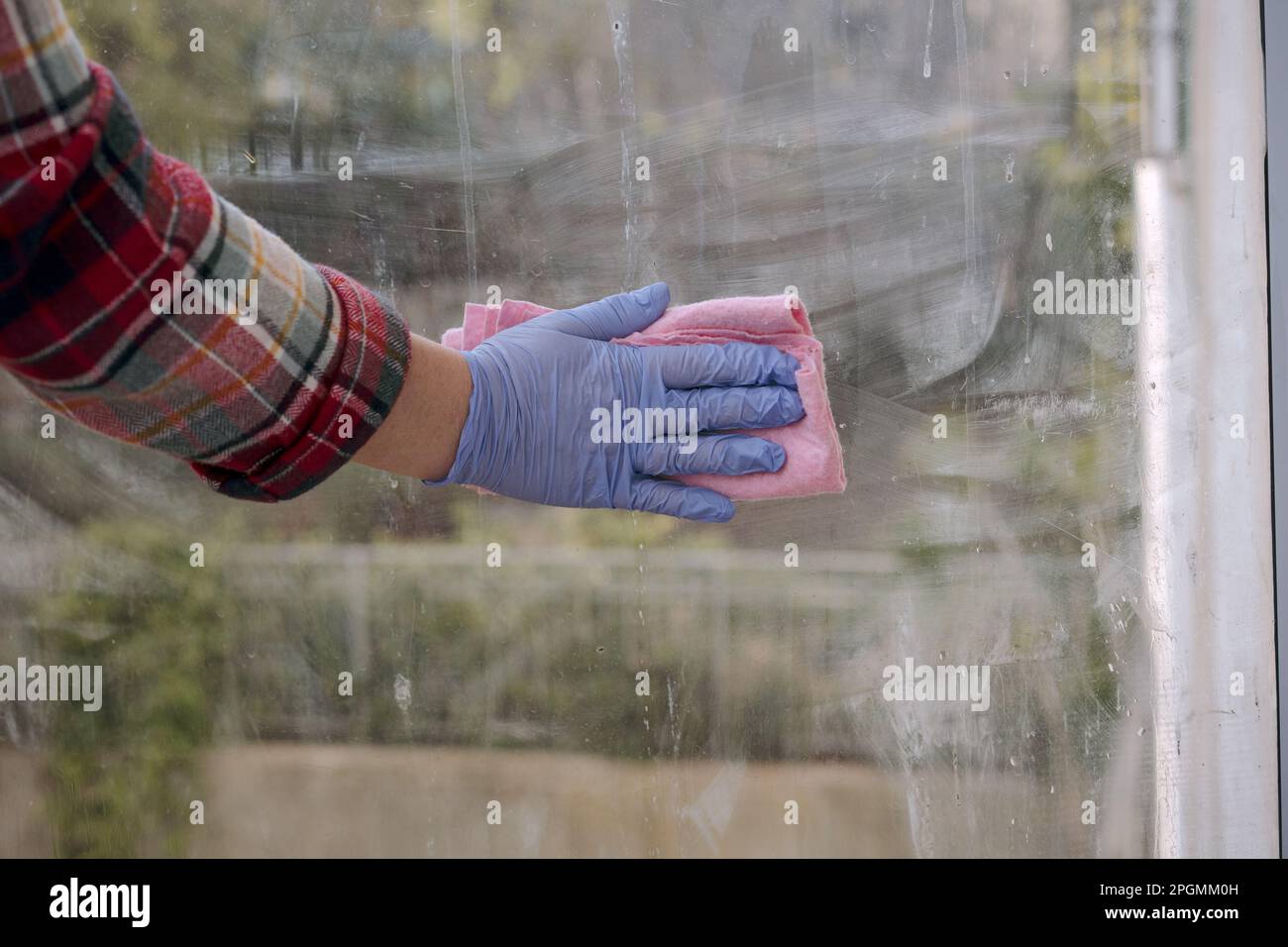 Woman hand in blue gloves cleaning window in home with pink rag ...