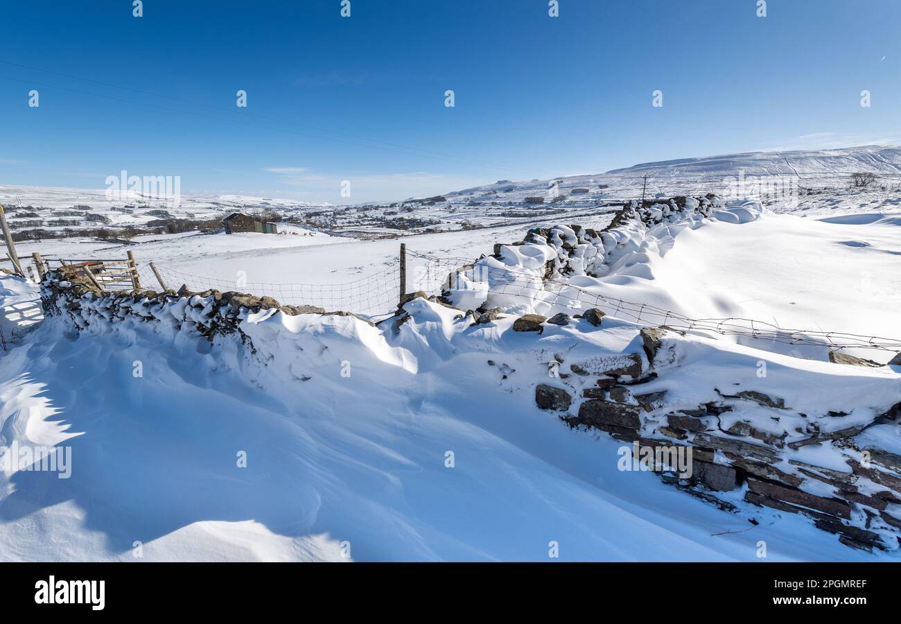 Snowdrifts behind drystone walls after a snowstorm in Wensleydale ...