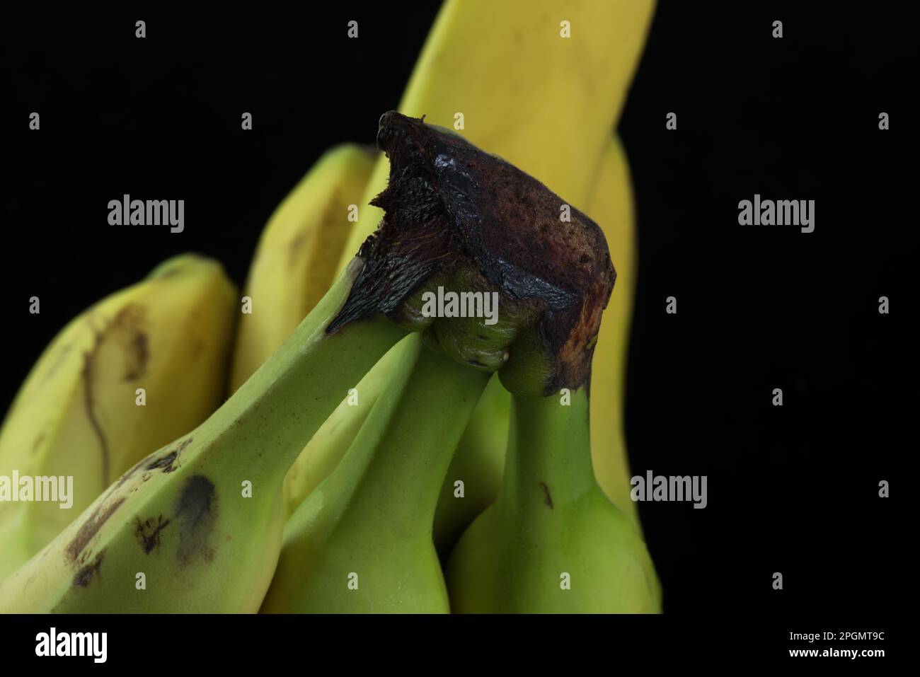 Simbolo simbolo foto hi-res stock photography and images - Alamy